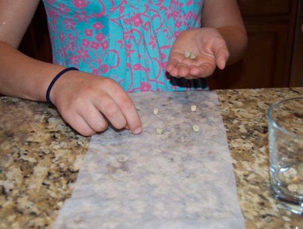 Make some magic…plant peas with pals – igardendaily