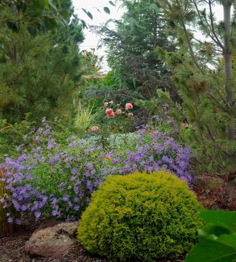 The Fall Garden, Both Fun and Fierce – igardendaily